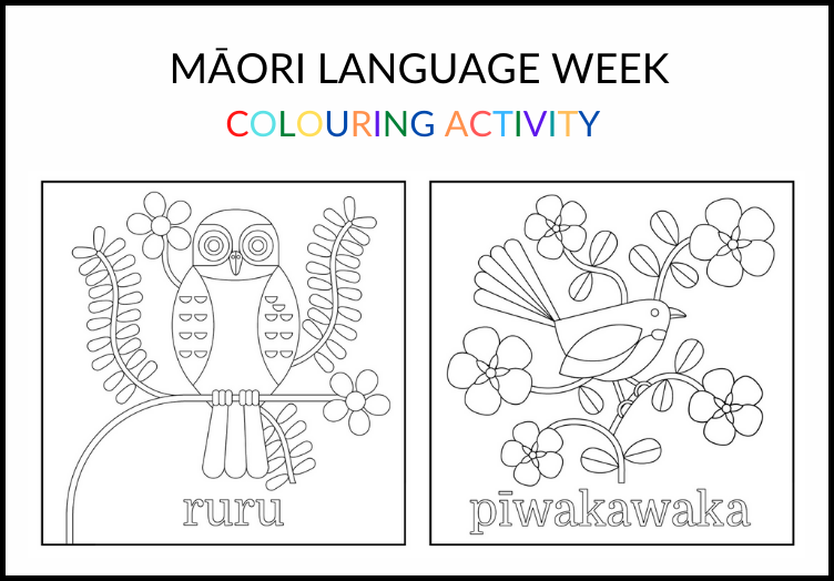 Māori Language Week | Colouring In Activity – Greg Straight Art
